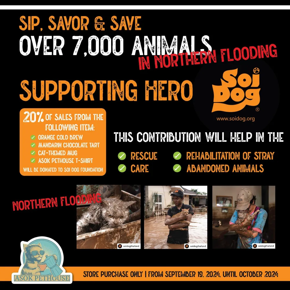 LIST: Best Things to Do in Bangkok on Oct. 1-7, 2024