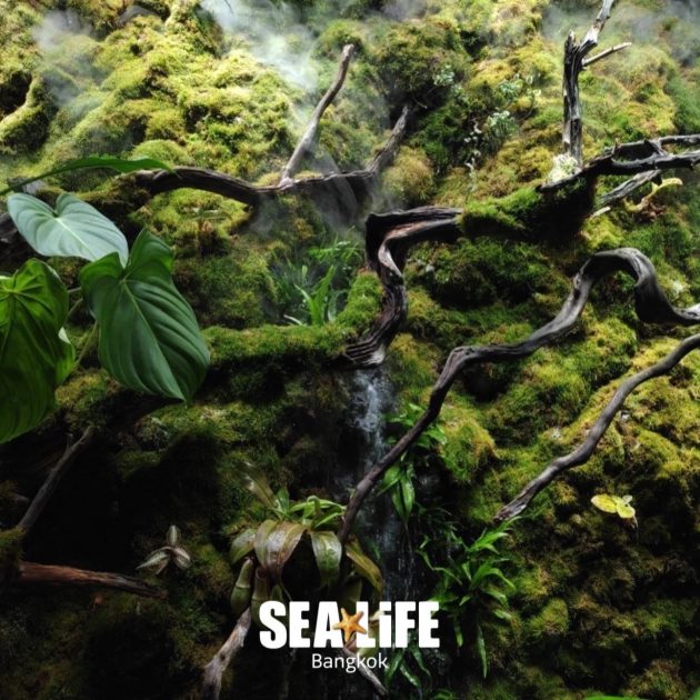 ‘Rainforest Adventure’: Real-Life Jungle in the City