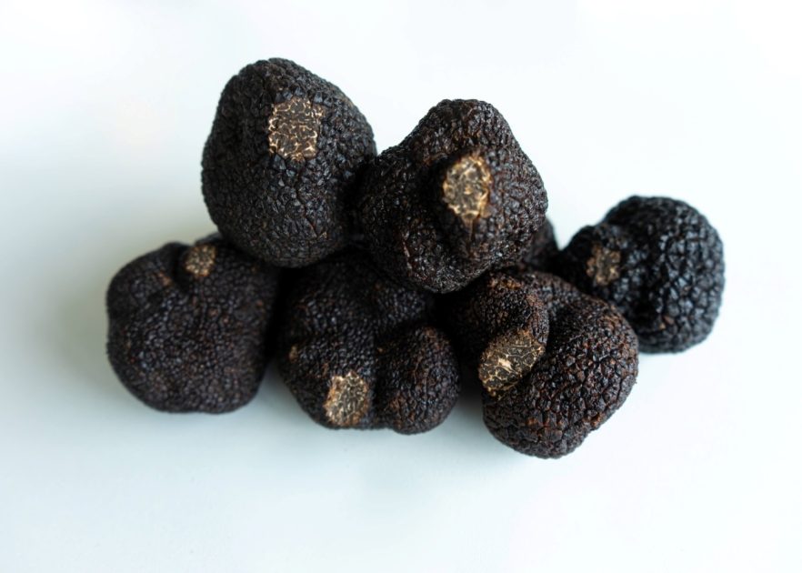 Relish an 8-course Truffle Tasting Menu at Mia on July 13