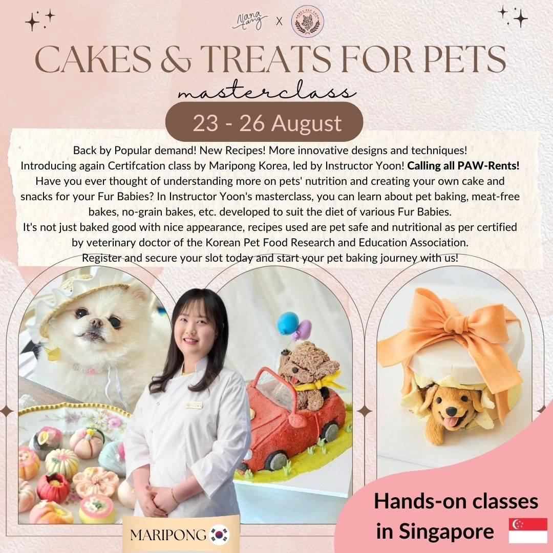 Pet Baking Masterclasses by @mari__pong | The Beat Singapore