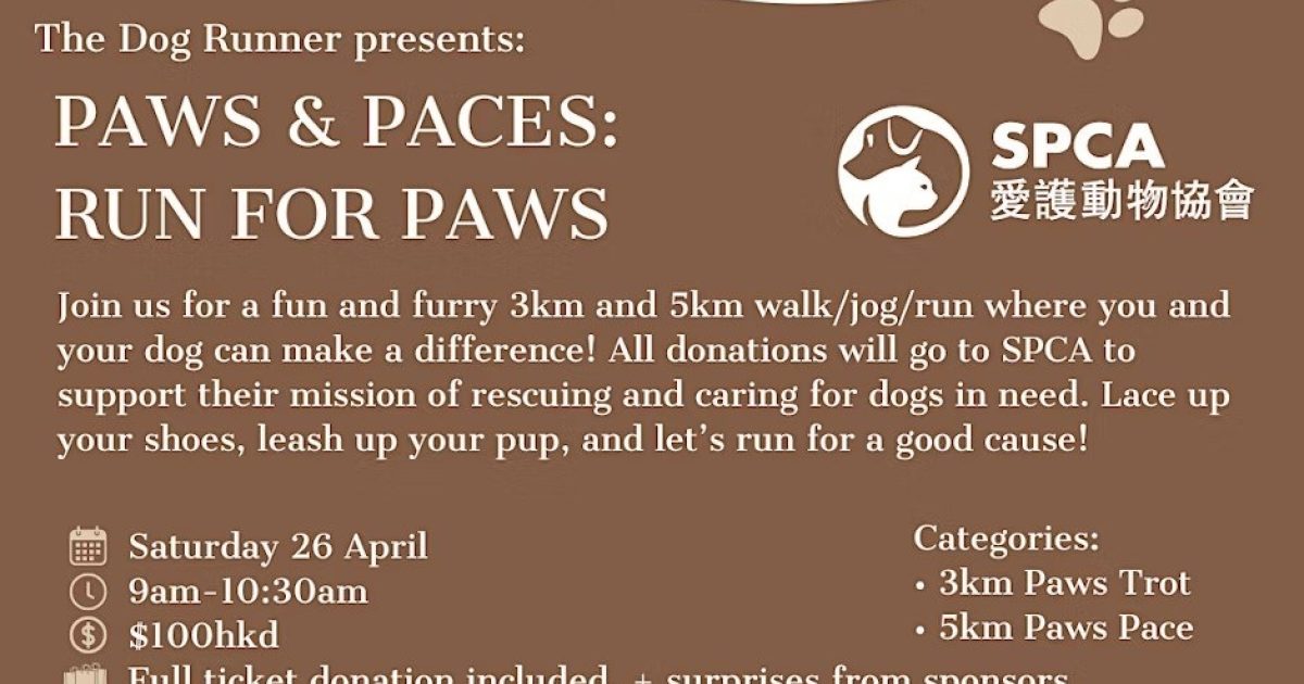 Paws & Paces: Run for Paws | The Beat Hong Kong