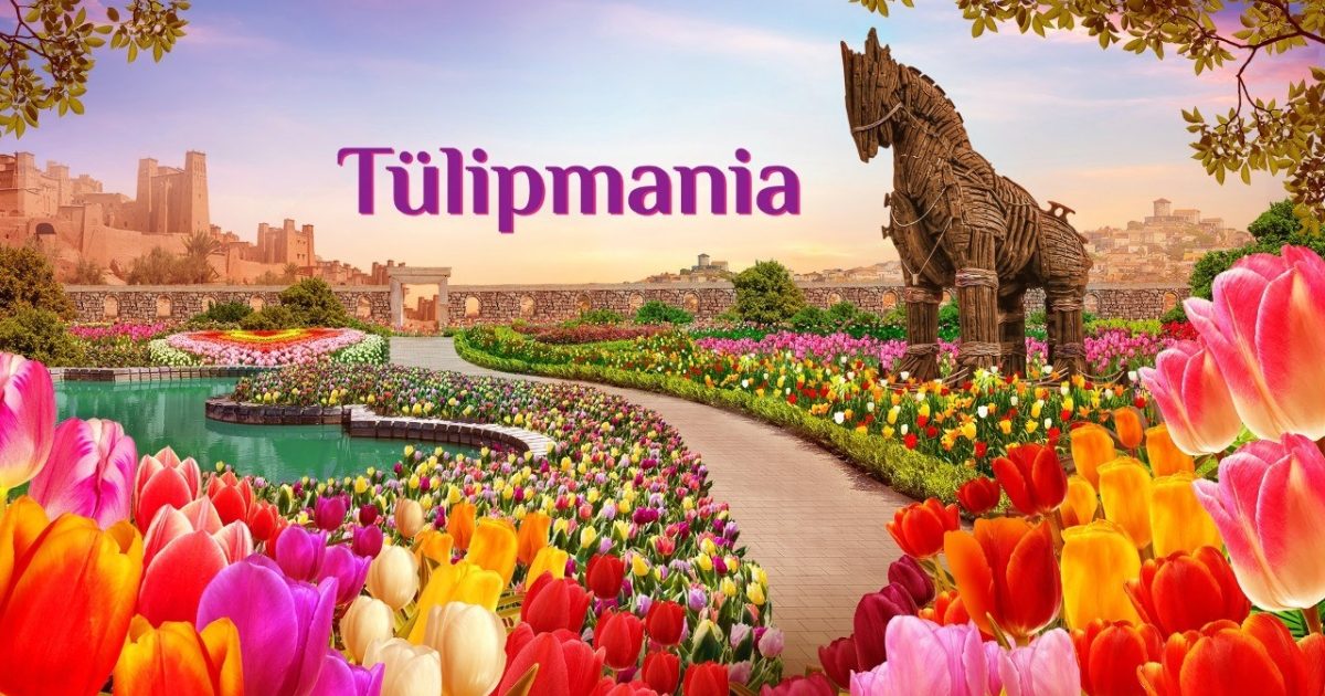 Tulipmania | The Beat Singapore