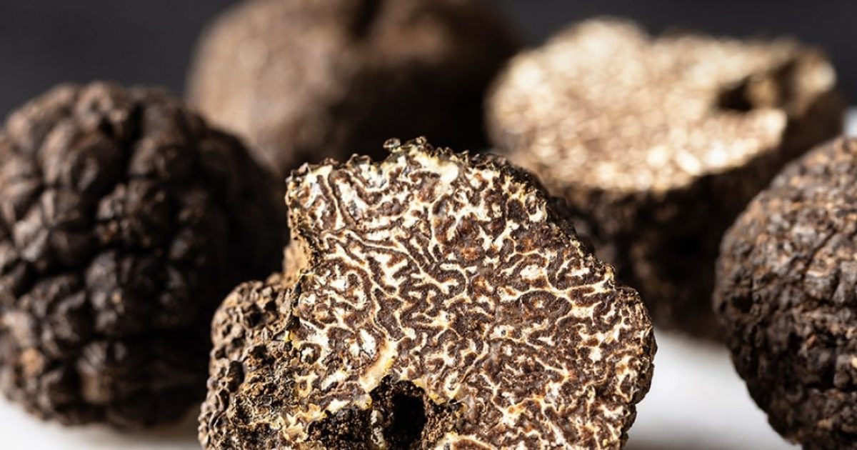 Périgold Black Truffle Season at… | The Beat Singapore