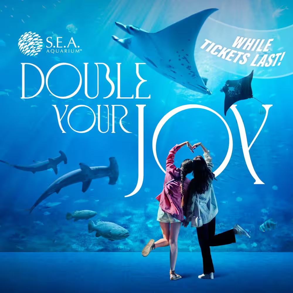 Double Your Joy | The Beat Singapore