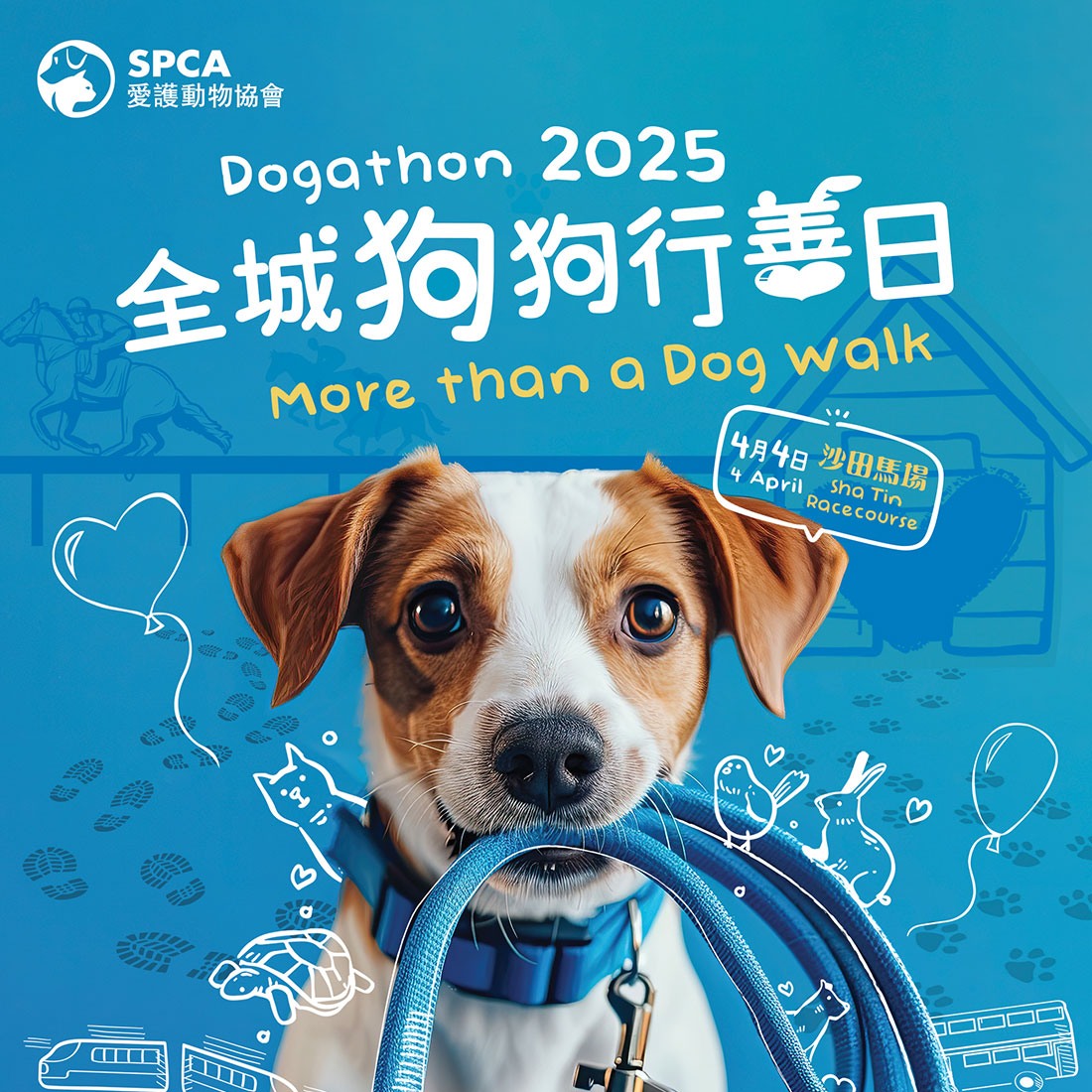 SPCA - Dogathon 2025 | The Beat Hong Kong