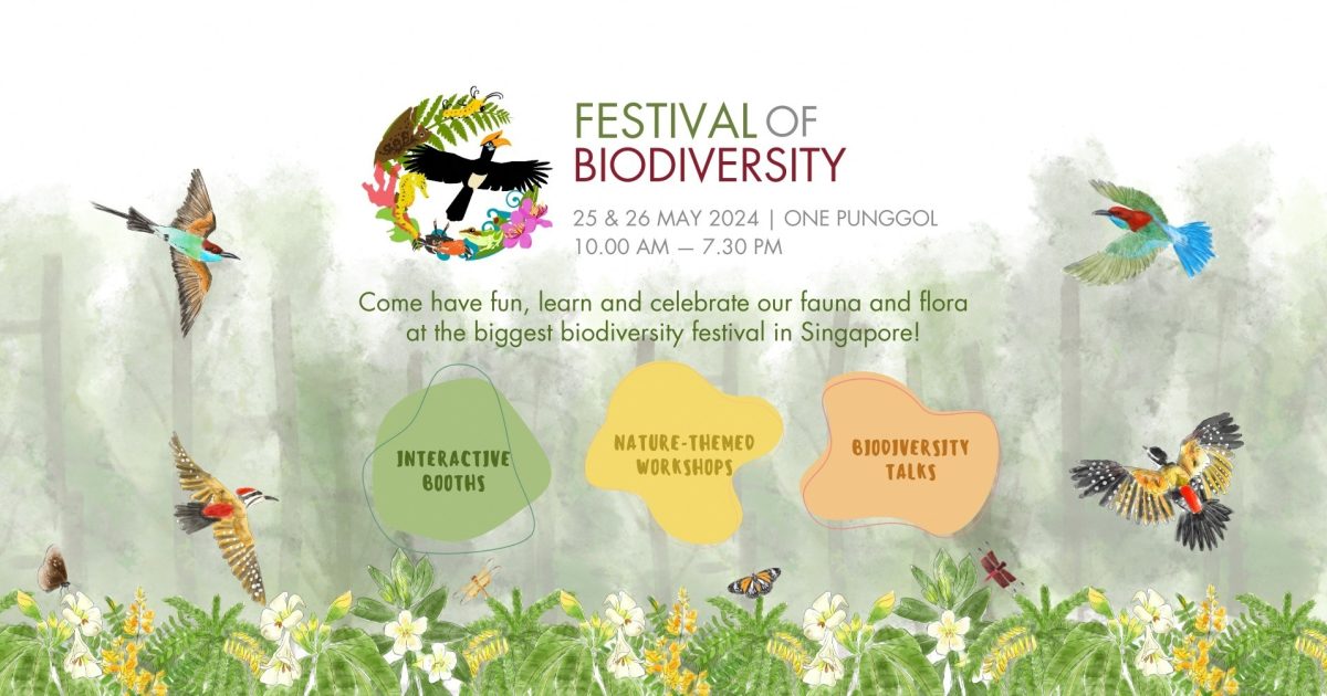 Festival of Biodiversity 2024 at One… | The Beat Singapore