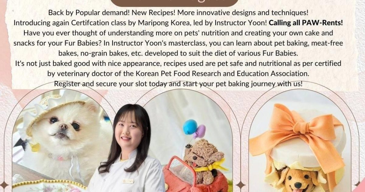 Pet Baking Masterclasses by @mari__pong | The Beat Singapore