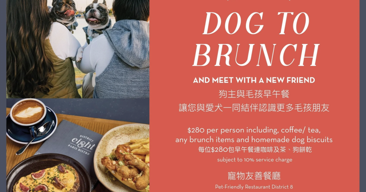 Bark & Brunch: A Dog-Friendly Brunch… | The Beat Hong Kong
