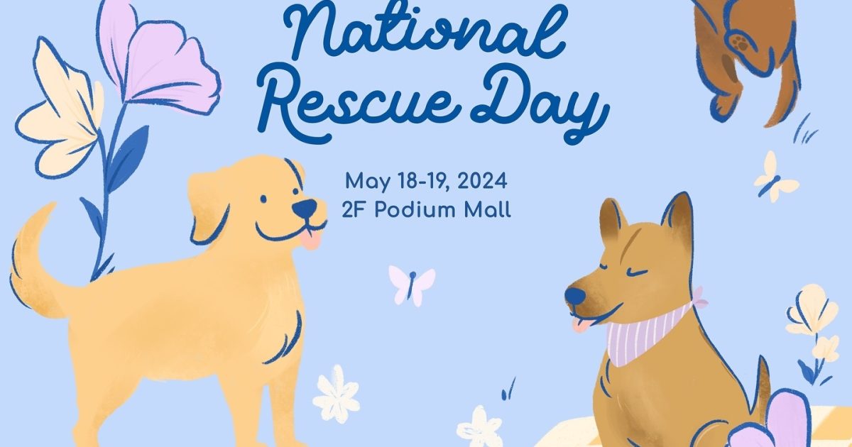 Bobba’s Backyard National Rescue Day | The Beat Manila