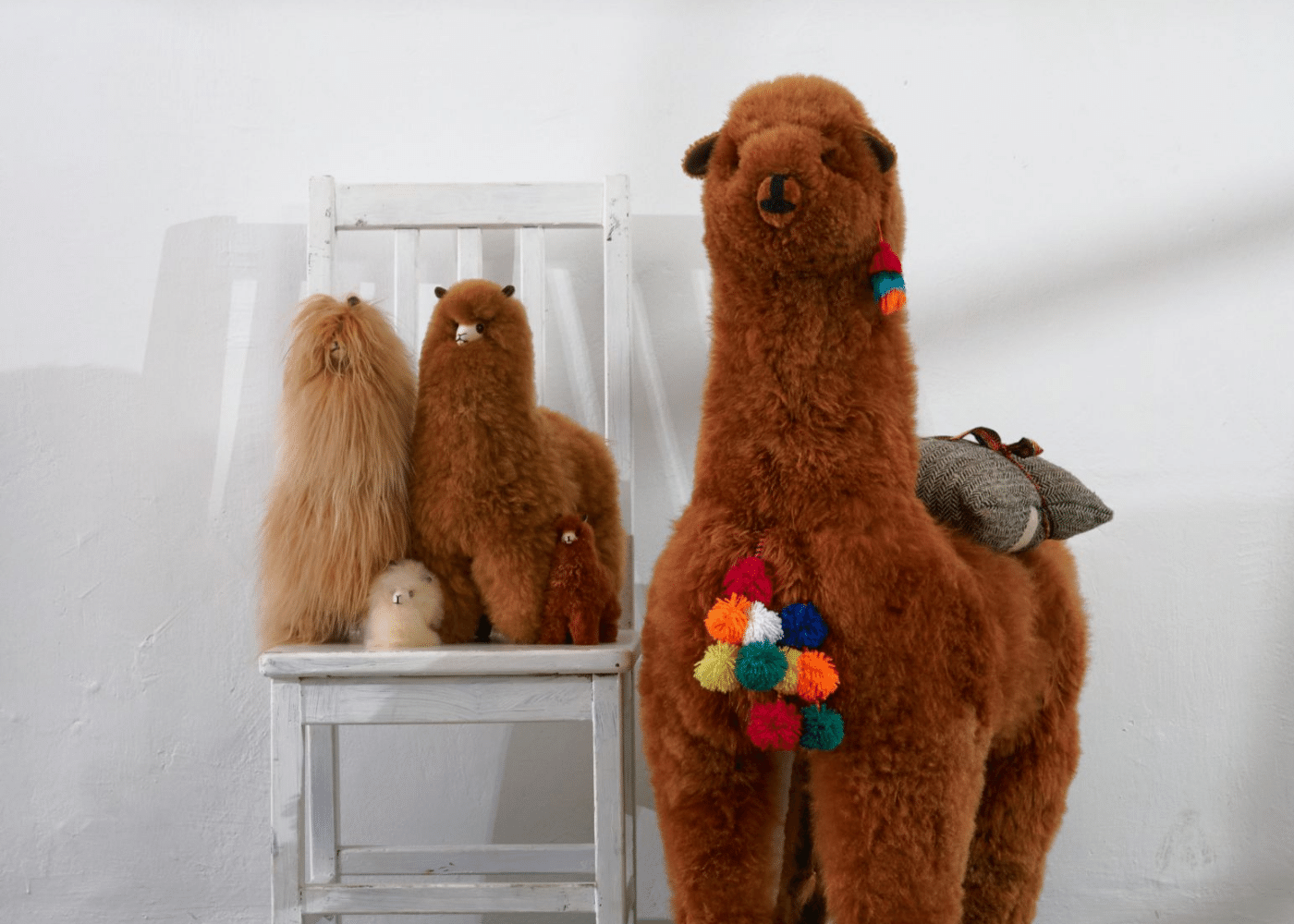 ÄYA Alpaca’s 50% Off Sale Celebrates National Alpaca Day