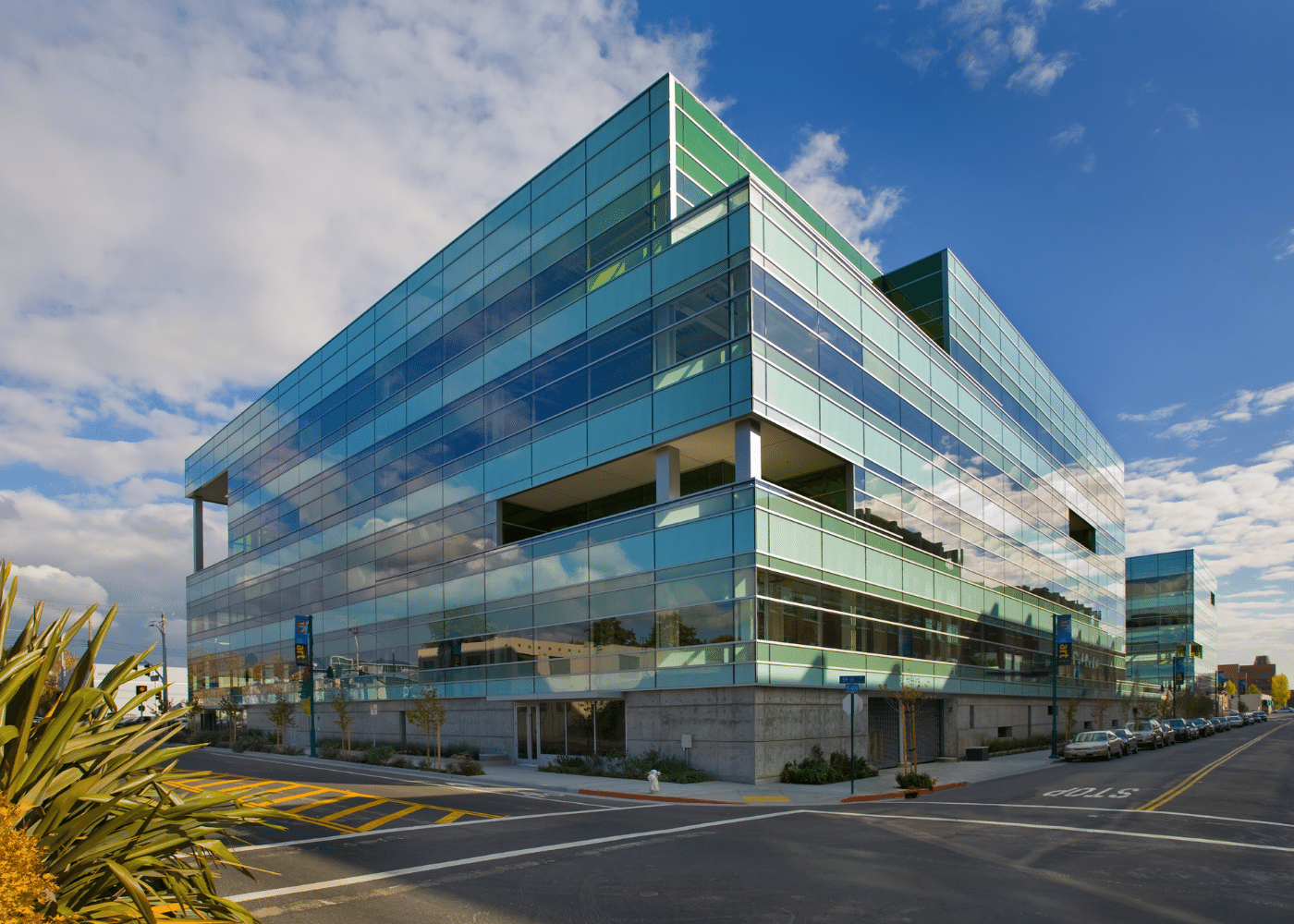 Engineered Microbes Bio-Based Infinitely Recyclable Plastic