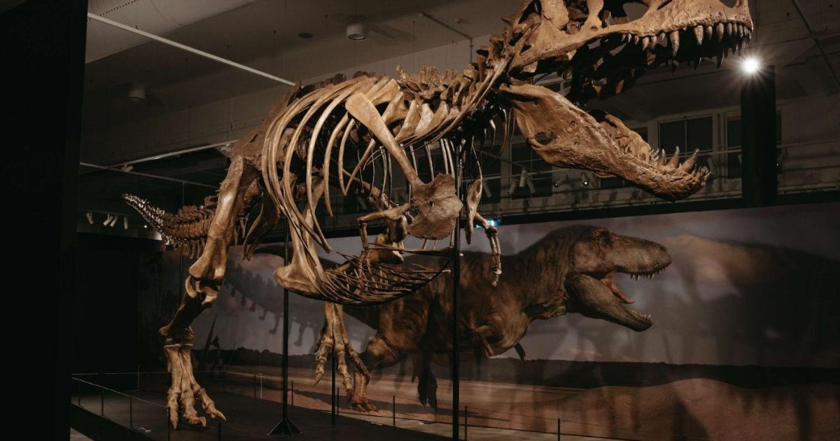 “DINOSAURS | EXTINCTIONS | US” Exhibit This October 2025