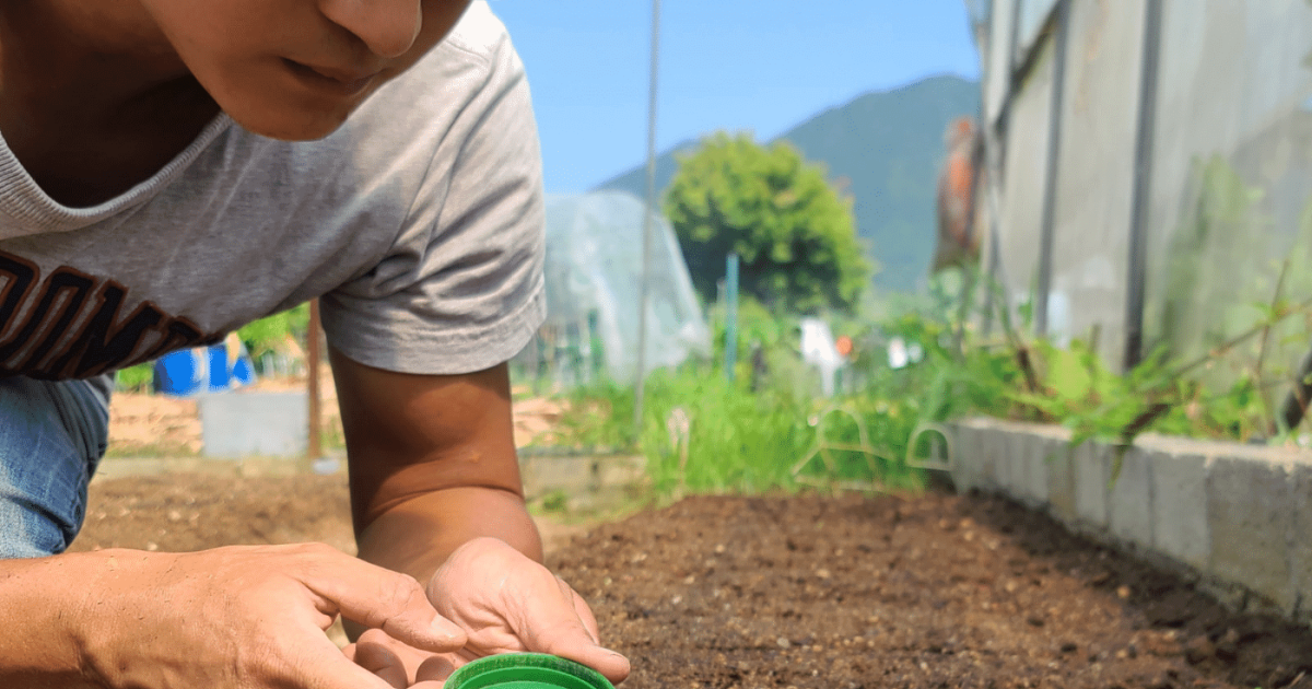 Tai Po’s Living Farm on Educating HK on Crops and Farming