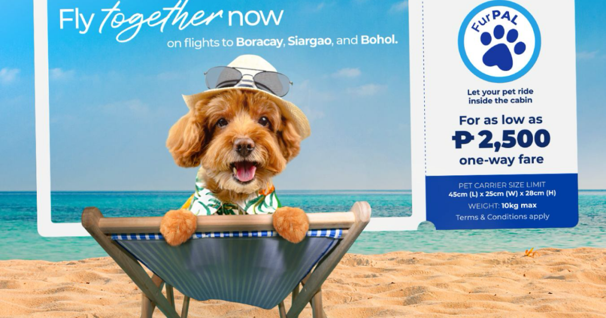 You Can Now Fly Out Together with Your Pets, Thanks to PAL