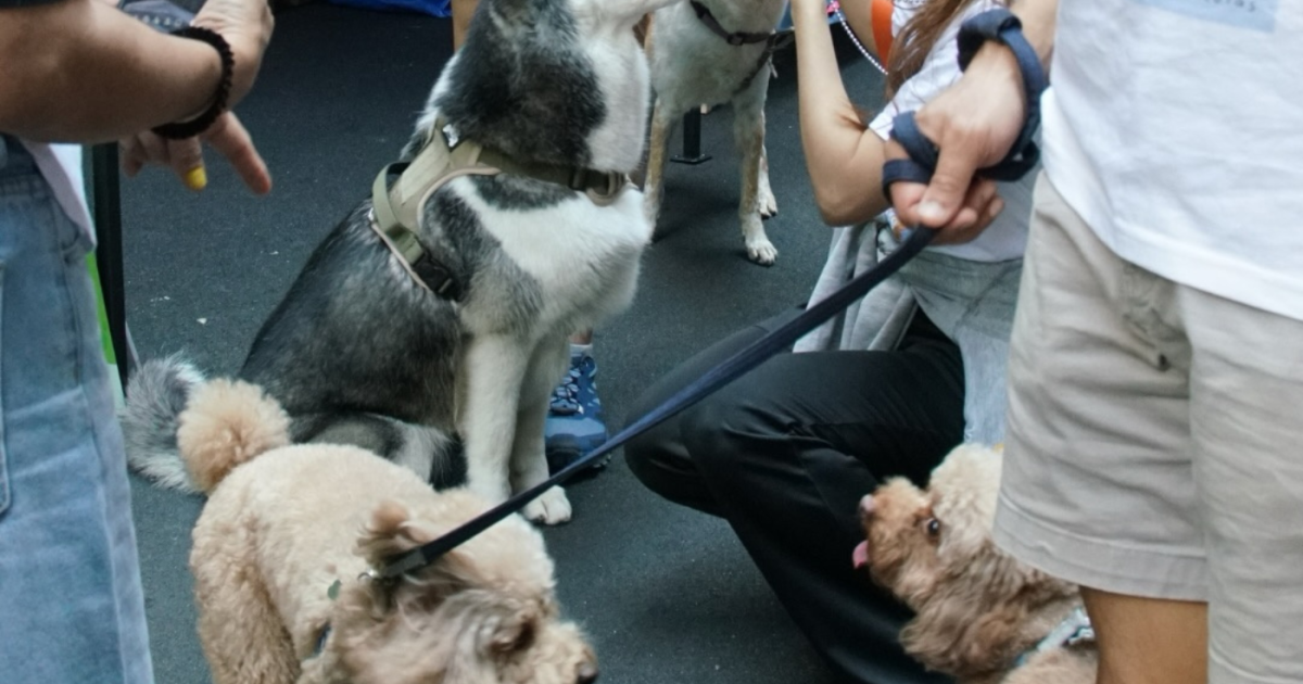 SPCA Hosts a One-Day Dog-Friendly Train Ride with MTR