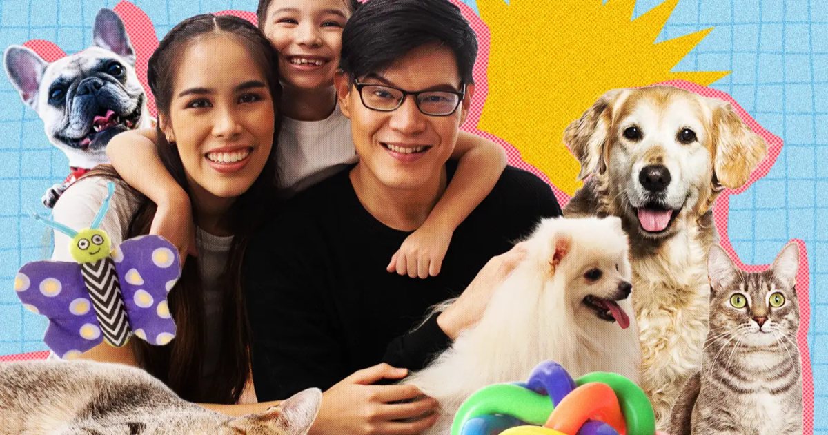 Top Five Things Your Pet Needs for a Healthy, Happy Life