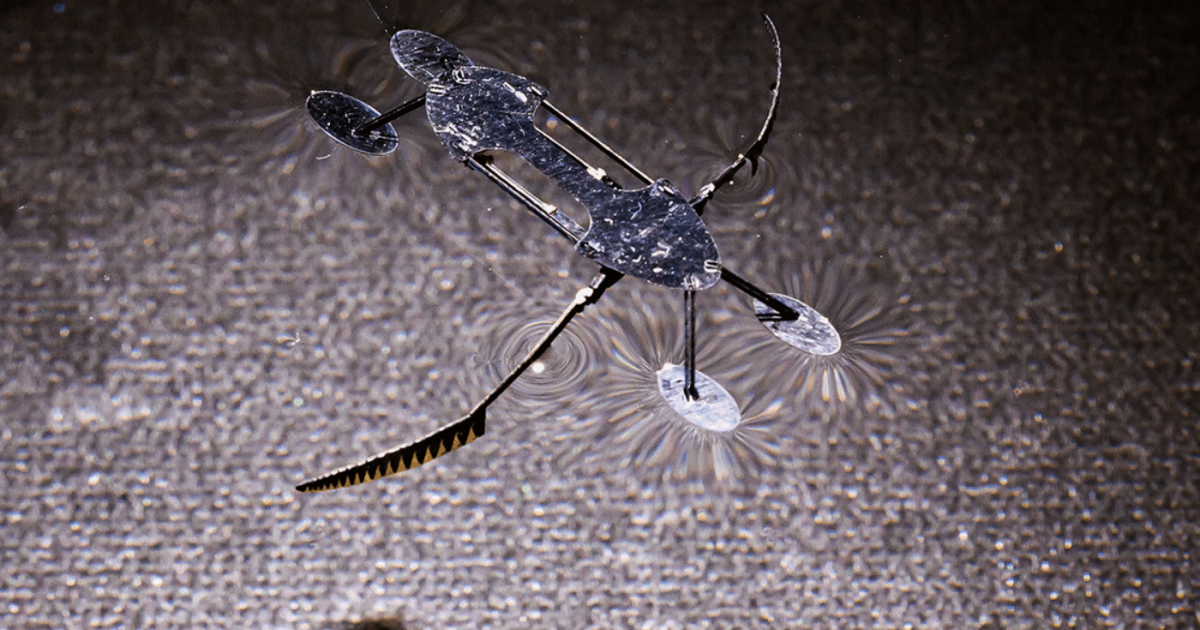 Insect Robots: Unleashing Nature's Efficiency in Robotics