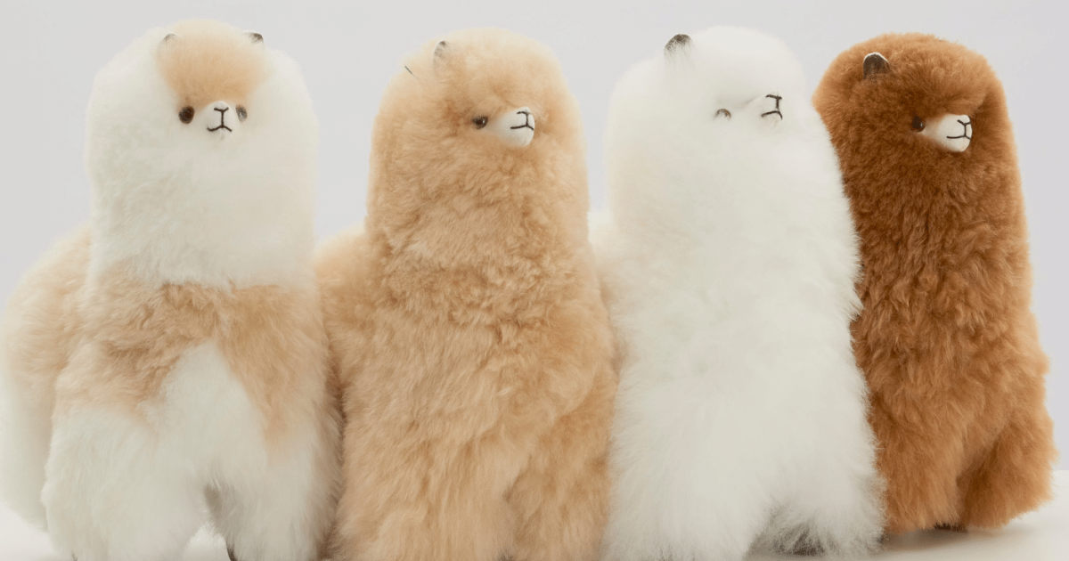 ÄYA Alpaca’s 50% Off Sale Celebrates National Alpaca Day
