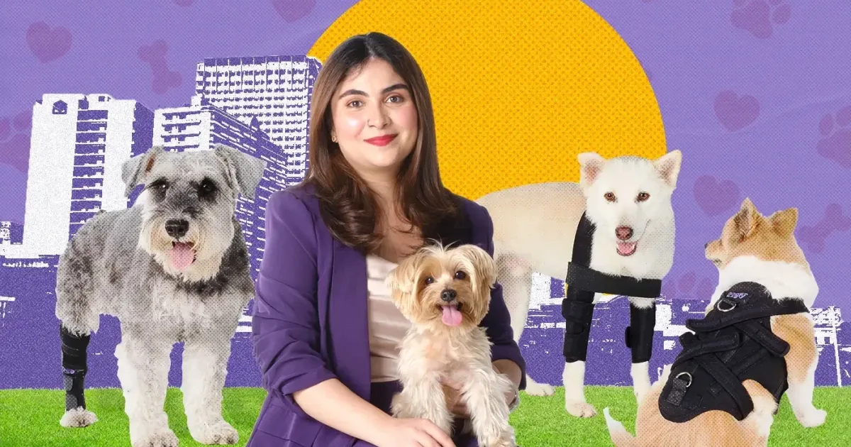 Meet Local Orthopedic Pet Support Brand Dogly by Manly
