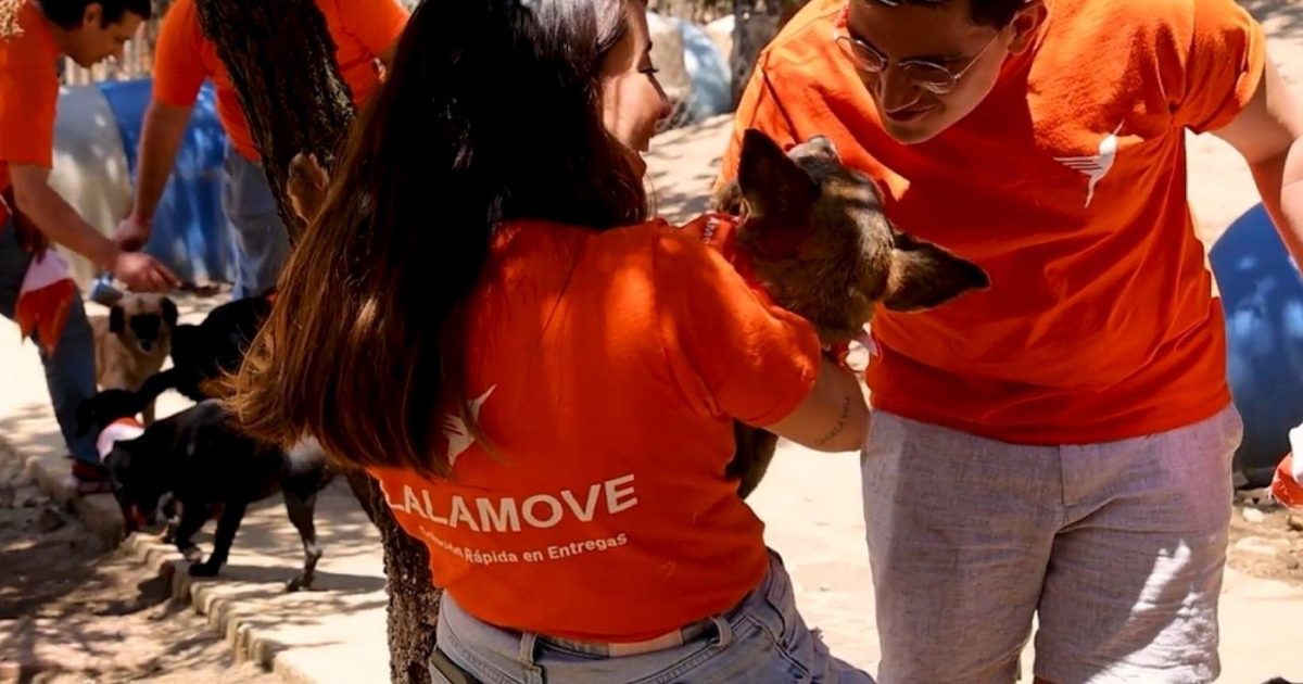 Lalamove Hosts Pet Adoption Day at WKCD This Oct. 29