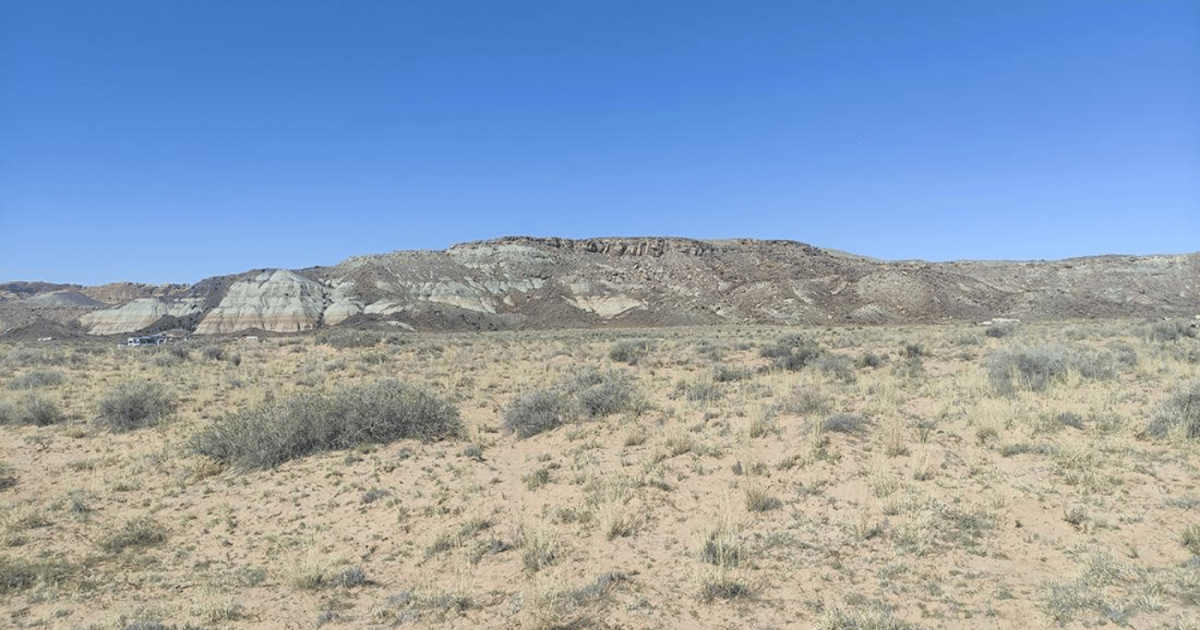 What Are Biocrusts, Why Are They Essential to Our Ecosystems