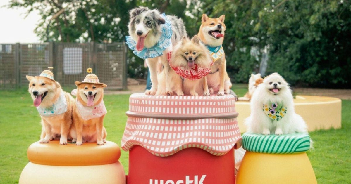 Hong Kong’s Biggest Dog Fest Returns This November 2025