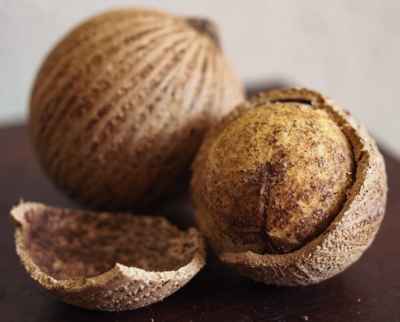Oylhaus Oils are Made from Malaysia’s Rare Kulim Fruit
