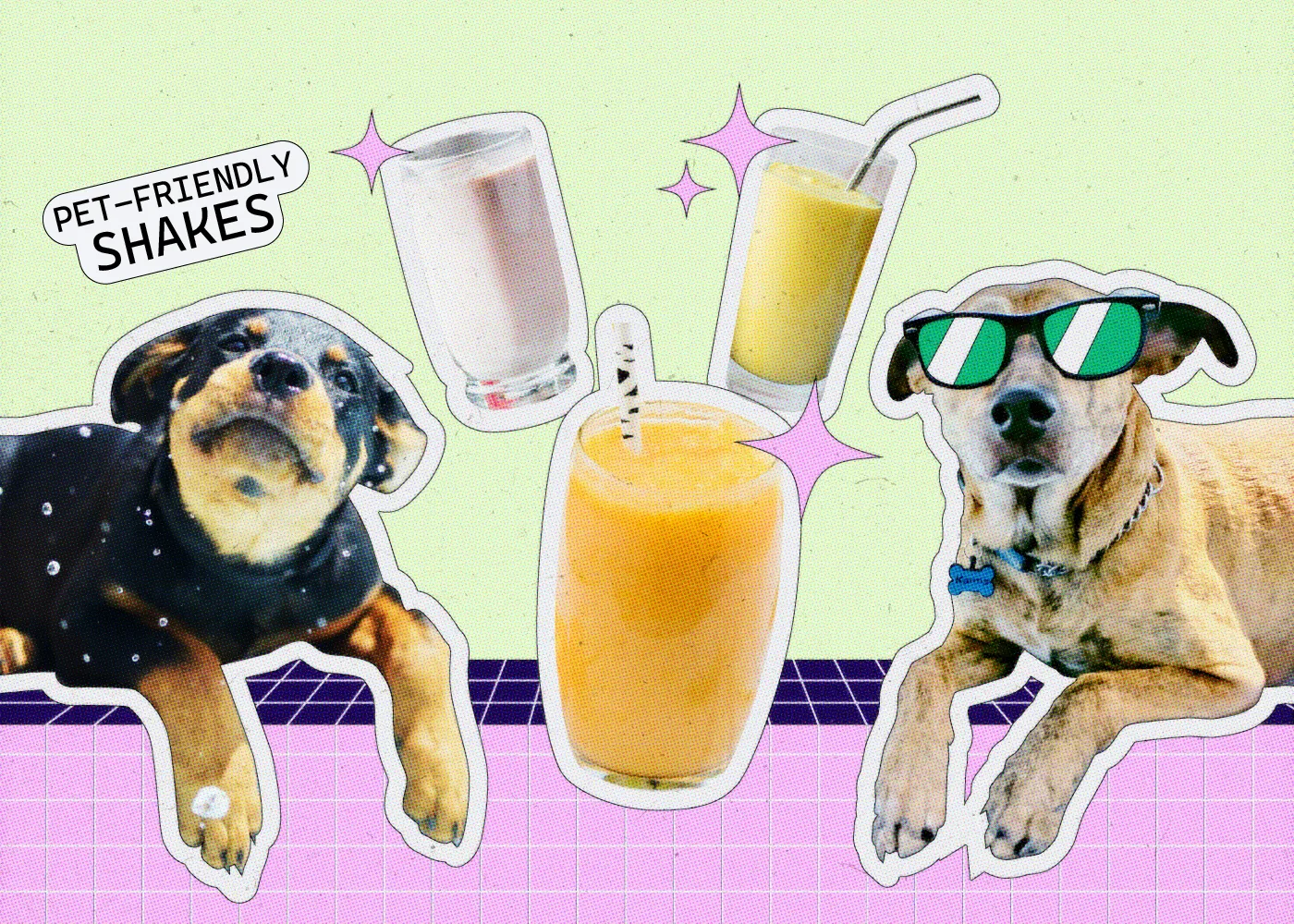 Pawsome Fruit Shakes to Keep Your Furbabies Cool this Summer