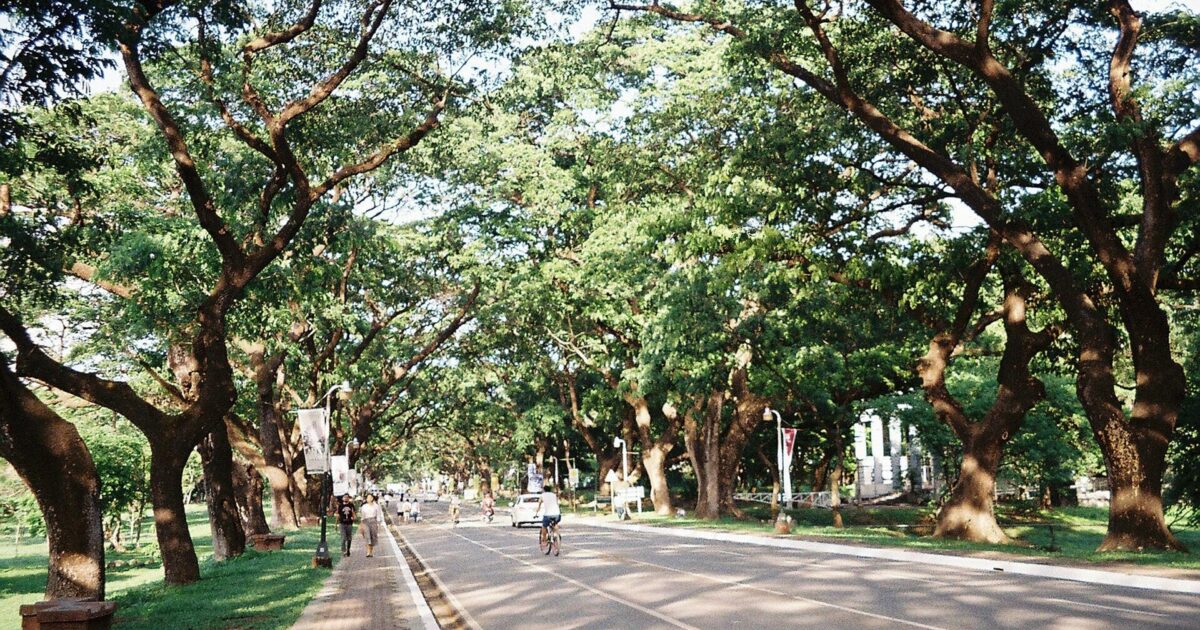 5 ‘Insta-worthy’ Nature Spots in Metro Manila