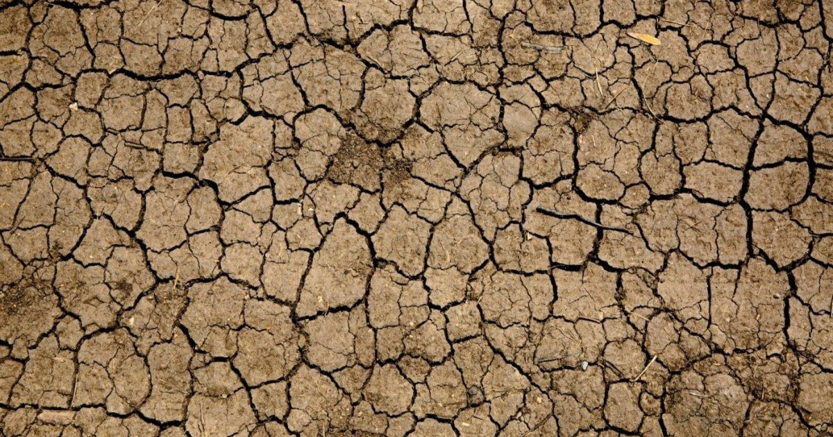El Niño and La Niña: What Are They and Their Effects?