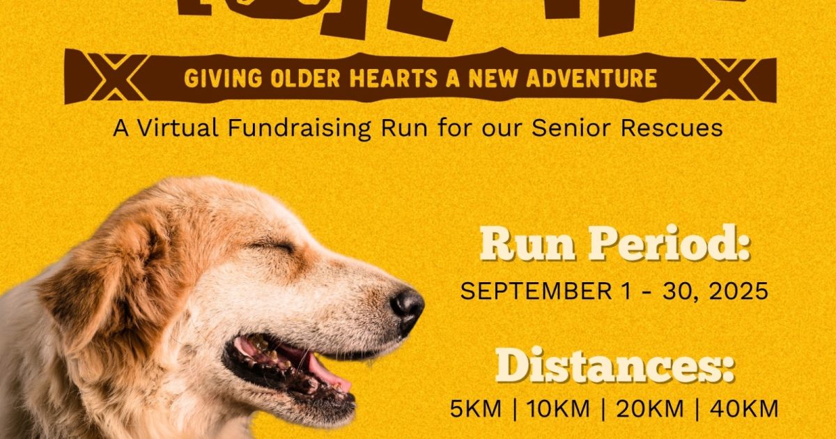 GOHANA 2025 Virtual Run | The Beat Manila