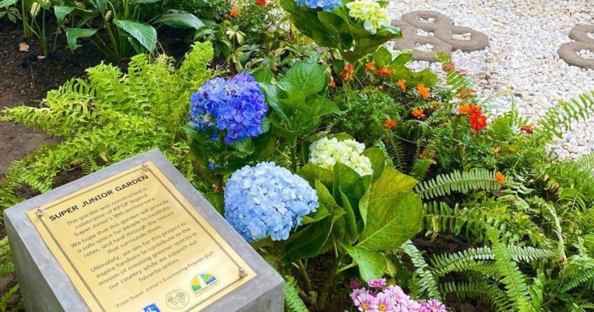 Super Junior Garden by Filipino ELF Opens in Rizal Park