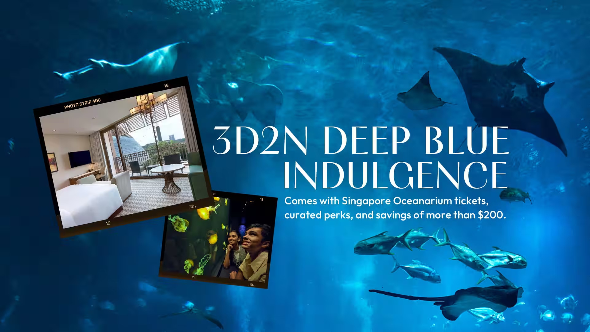 3D2N Deep Blue Indulgence Package -… | The Beat Singapore
