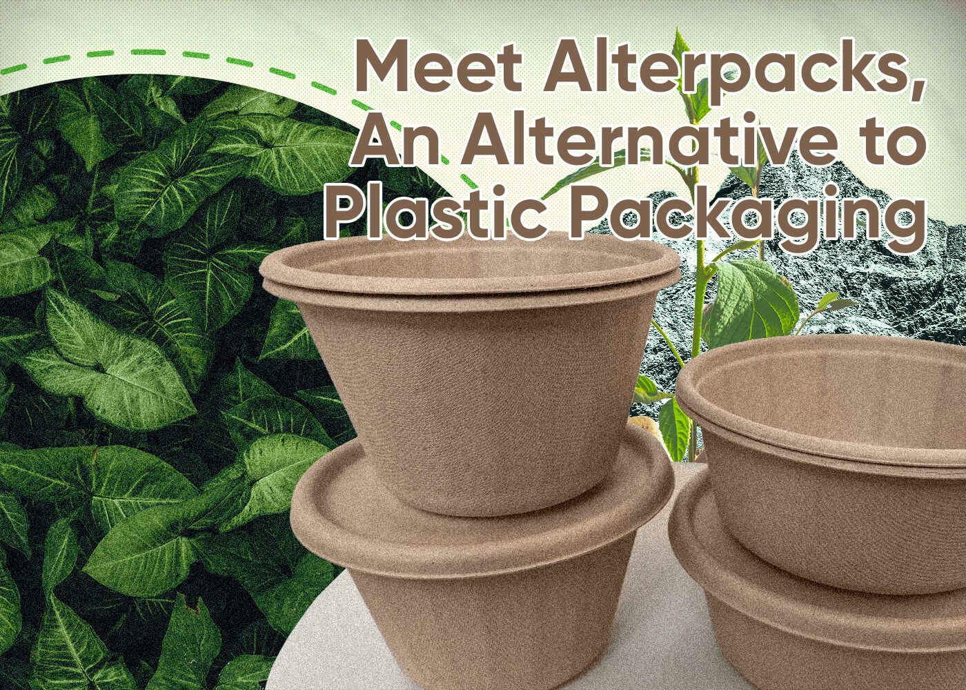 Alterpacks, the Green Alternative to Plastic Made of Grains