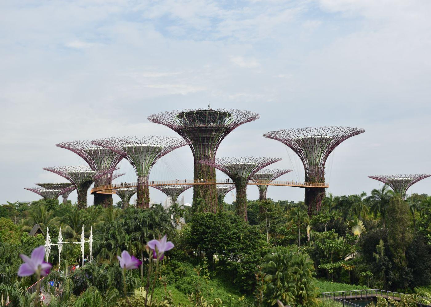 Gardens by the Bay Offers Nature, Sustainability Tours