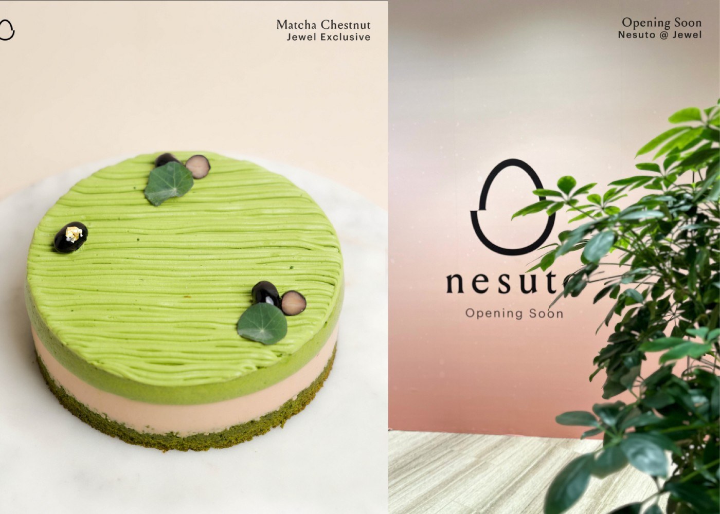 Nesuto Singapore to Open a New Nest at Jewel Changi