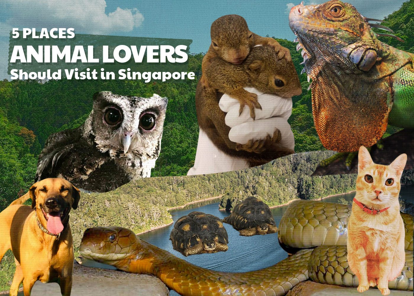 5 Places Animal Lovers Should See in S'pore | The Beat Asia