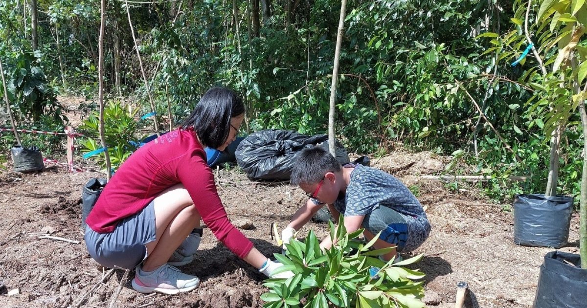 Make Singapore Greener by Joining NParks This Jan. 13