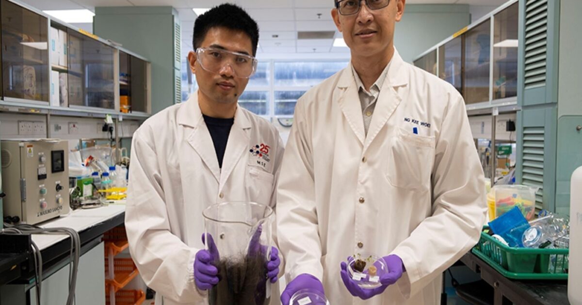 NTU Scientists Use Hair to Create Farming Growth Medium