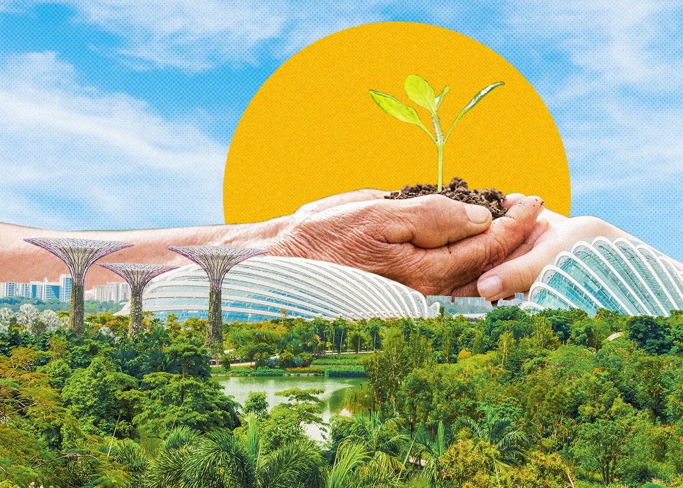 5 Environmental Charities to Support in Singapore in 2023